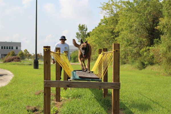 5 creative uses for backboards