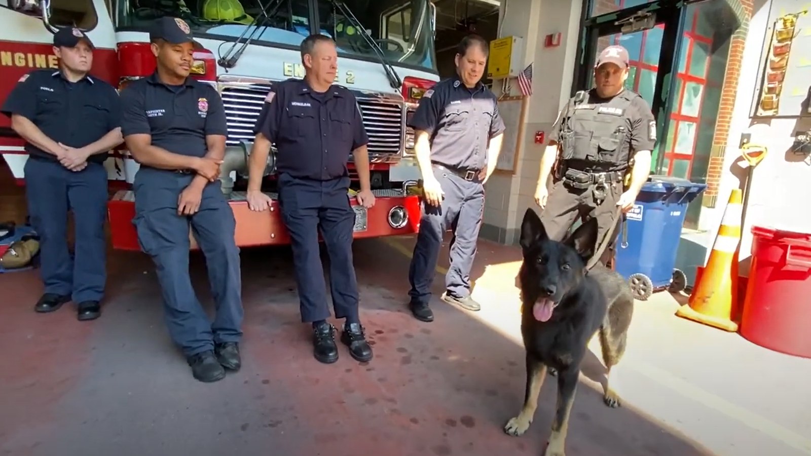 N.Y. State Park Police name new K-9 after fallen firefighter N.Y. State Park Police name new K-9 after fallen firefighter