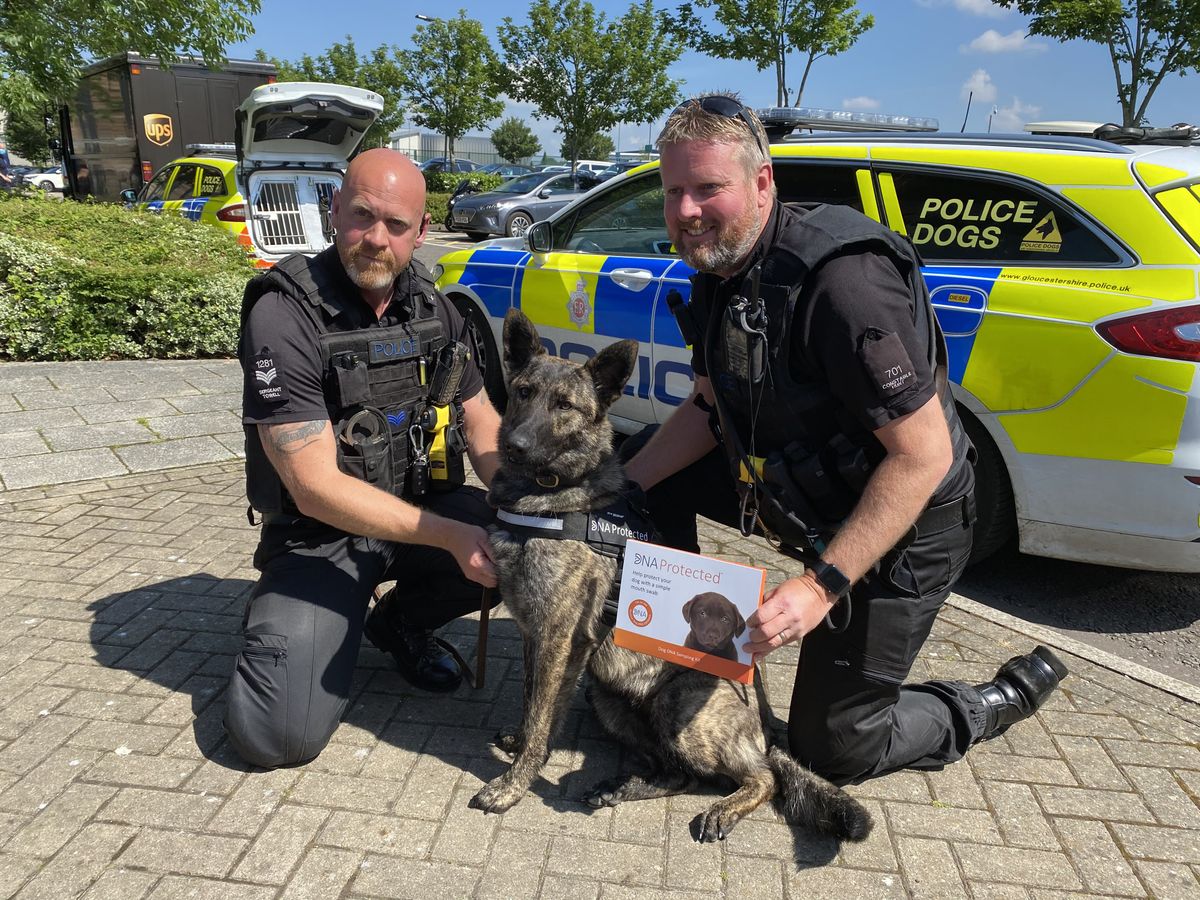 How Do Dogs Help Police