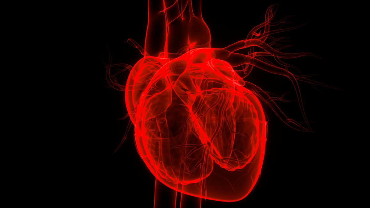 Heart matters: What providers need to know about congestive heart failure