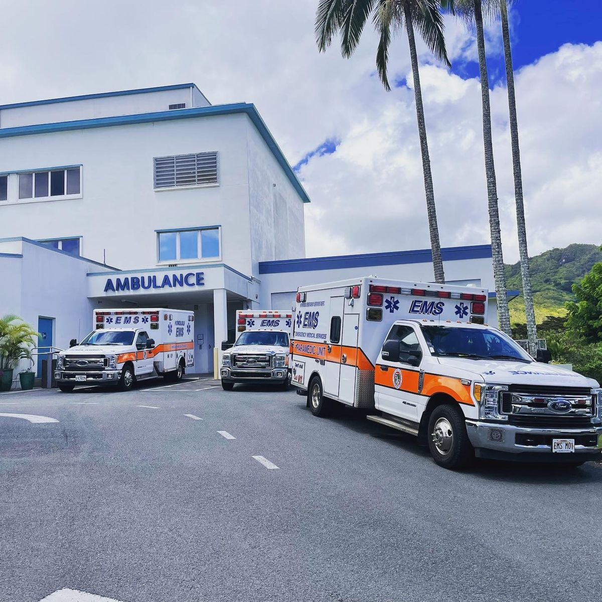 Hawaii paramedic injured in fatal rig fire recovering in burn unit
