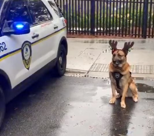 PoliceOne's list of the best police Christmas videos of 2019