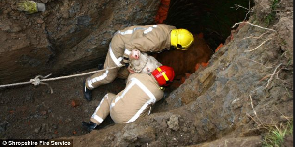 Are fire departments ready for trench rescue? | FireRescue1
