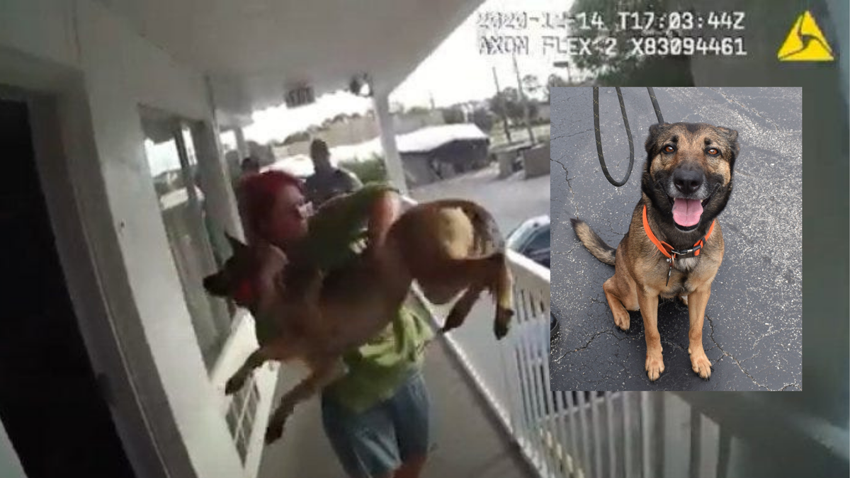Video: Woman throws dog off balcony as police approach