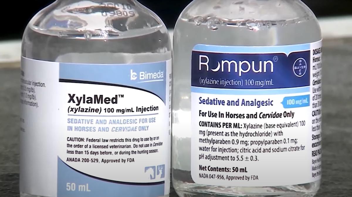 Flesh-eating drug 'tranq' to be tracked by LASD after its spread in ...