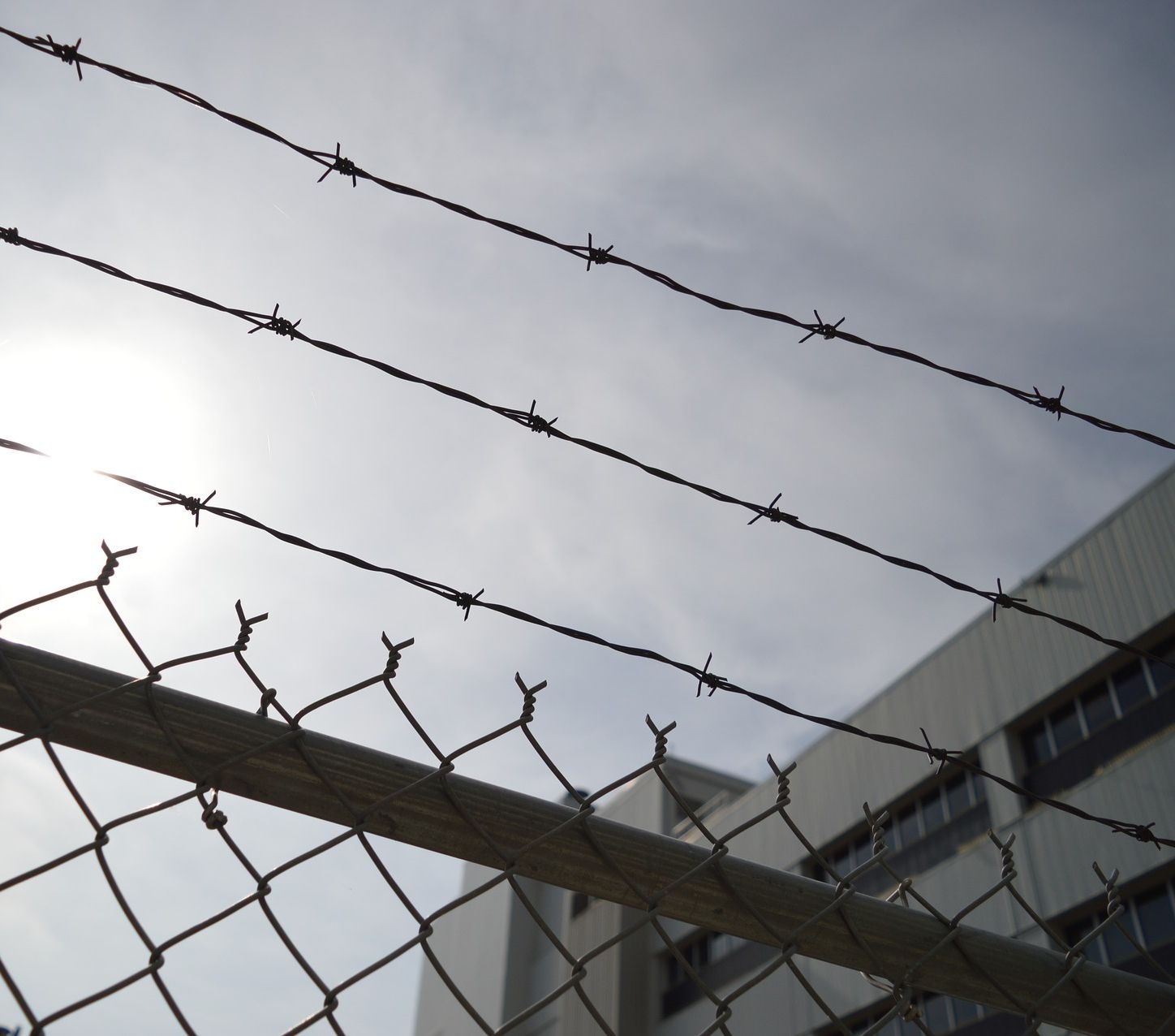 Barbed Wire Open Range