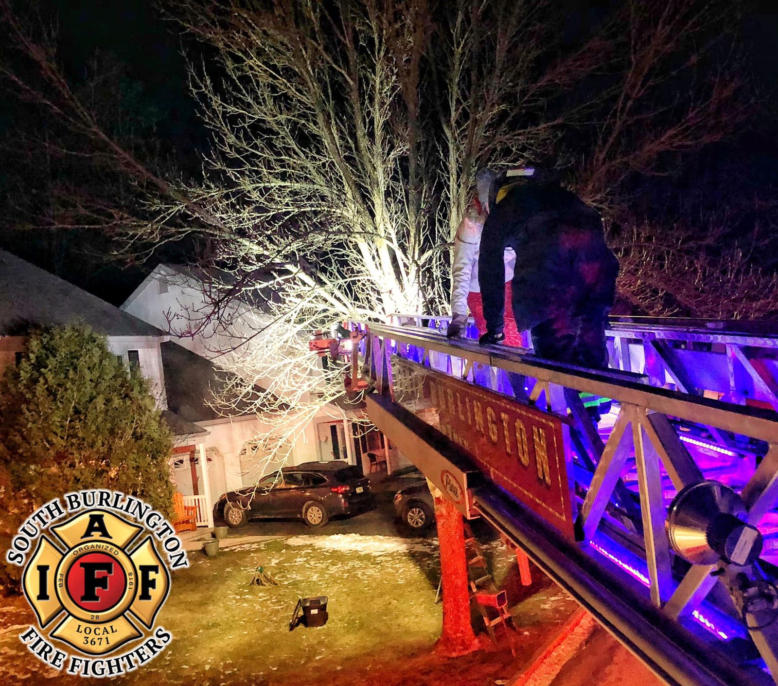 Photo of the Week: FFs rescue cat, owner from tree on Christmas Eve
