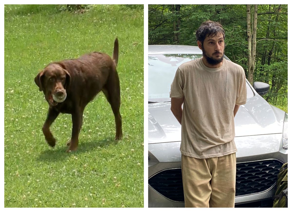 Dog gets $2,000 reward for locating escaped 'survivalist' inmate