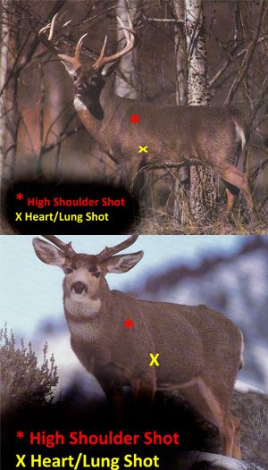DRT: Why high shoulder shots on big game will have you shooting like a pro