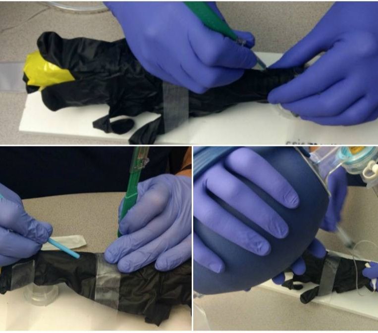 How to improvise an EMS airway management training situation