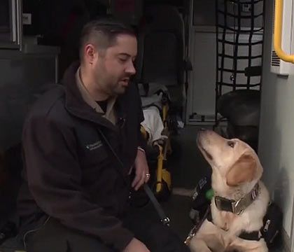 Service dog joins paramedic with PTSD on ambulance
