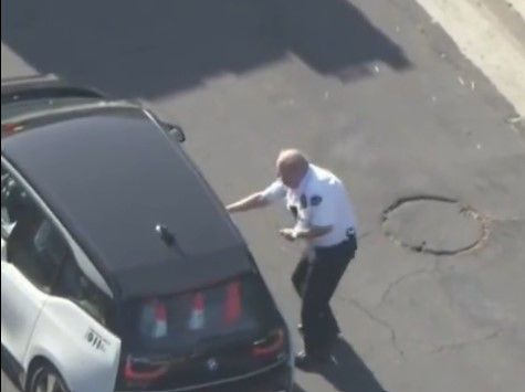 Video: Bee swarm sends LAPD volunteer officer to hospital