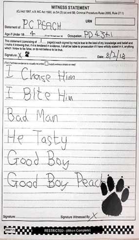 Officer criticized for writing police report on behalf of K-9