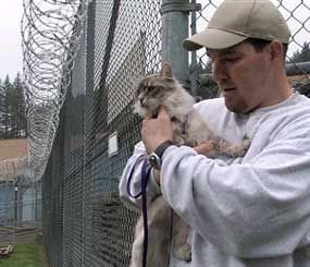 Bunking with cats, inmates learn value of teamwork